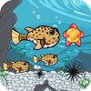 Run Fish Run | UnelmaGames provide free platform for gaming community ...